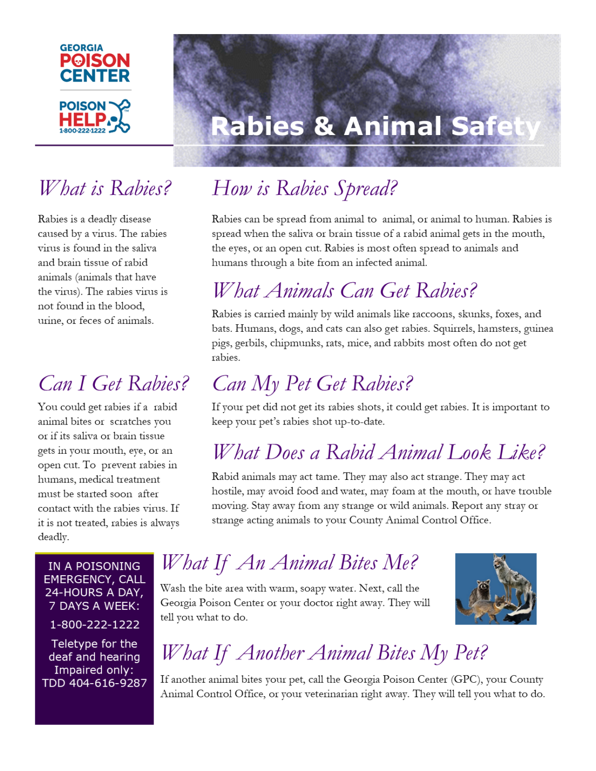 Rabies and Animal Safety Brochure – GPC Training Platform
