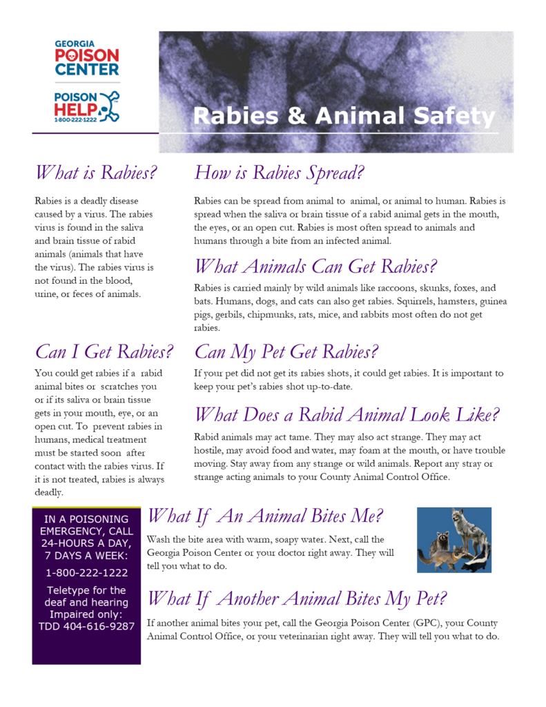 Rabies and Animal Safety Brochure – GPC Training Platform